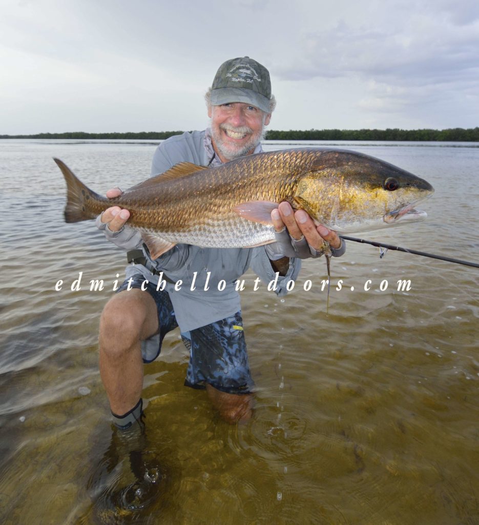 “Tailing” Reds in the Twilight | Ed Mitchell Outdoors